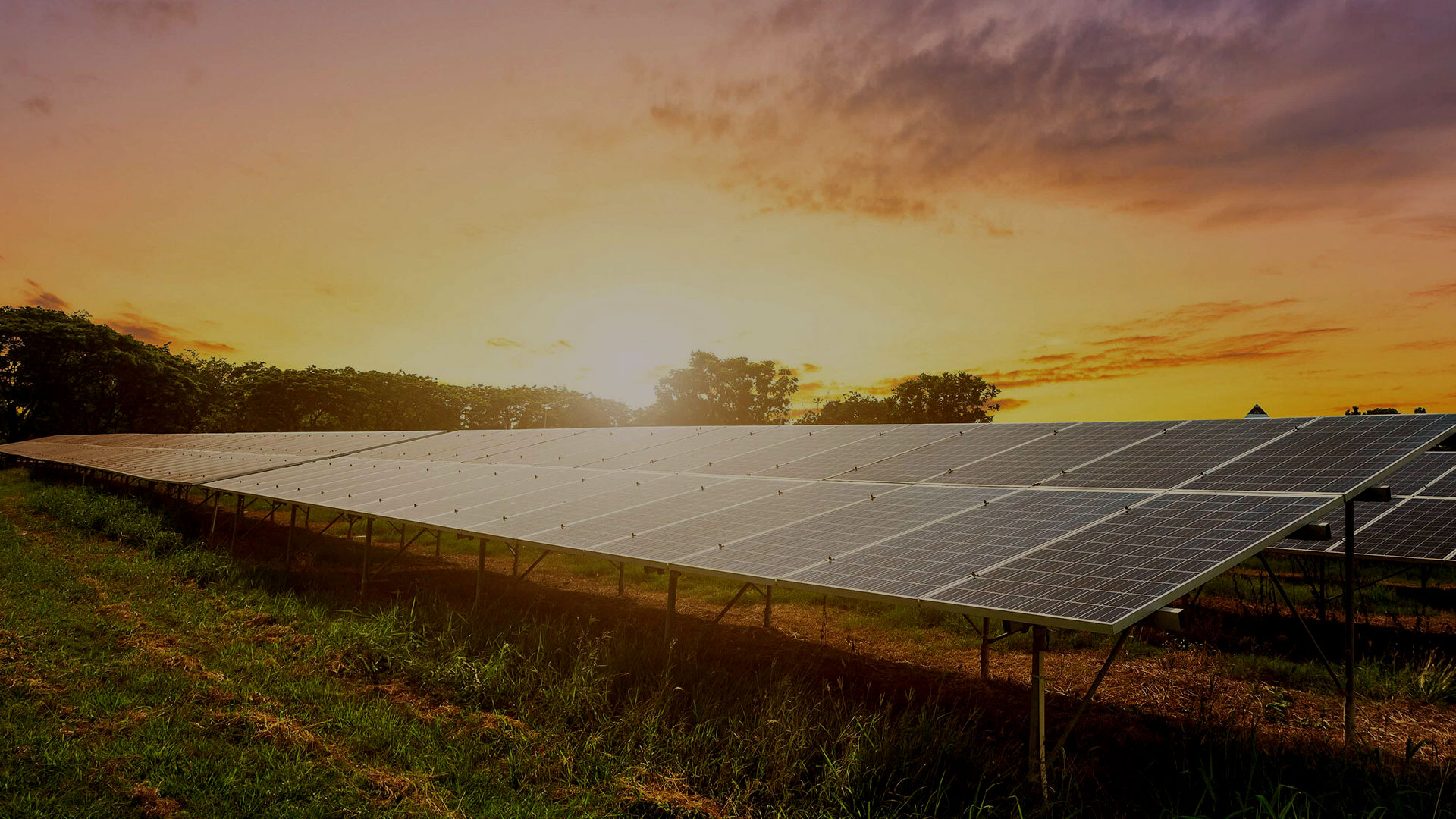 Solar Energy in Sardinia - Futura Group